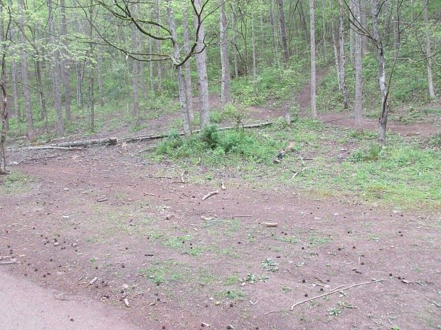 20 Acres of Land for Sale in Harold, Kentucky - LandSearch