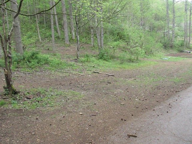 20 Acres of Land for Sale in Harold, Kentucky - LandSearch