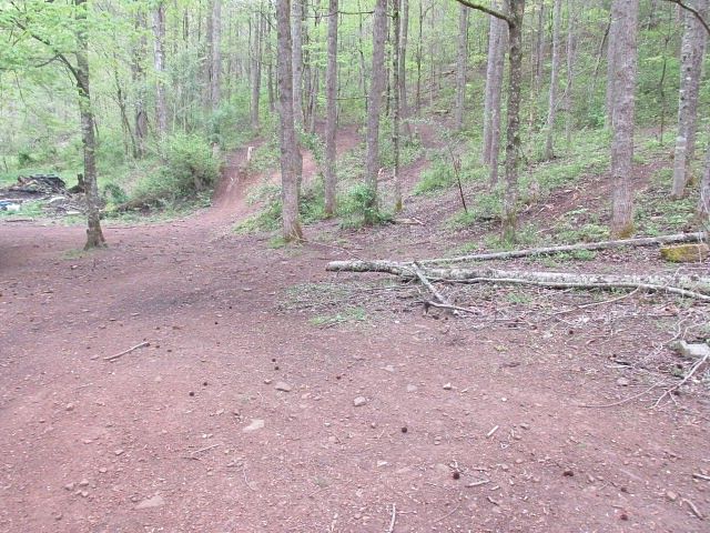 20 Acres of Land for Sale in Harold, Kentucky - LandSearch