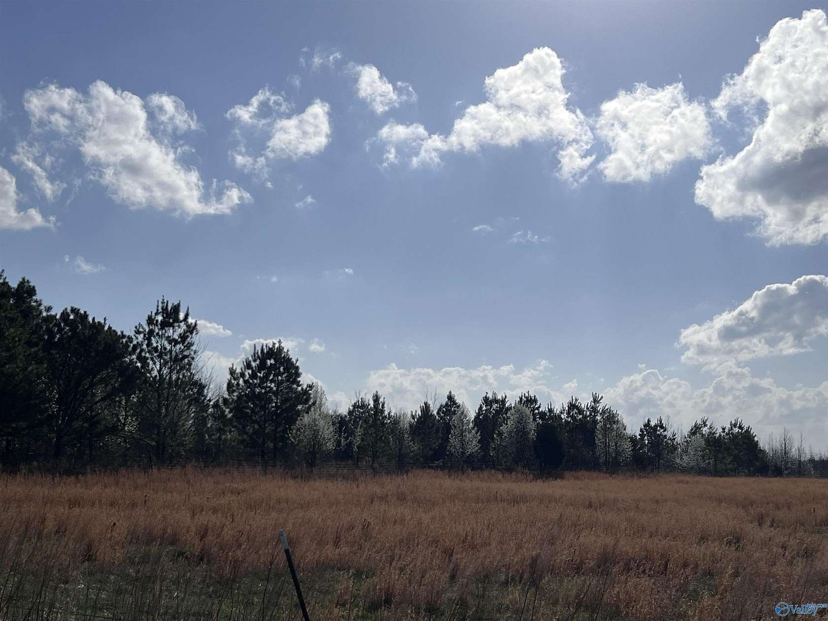64 Acres of Land for Sale in Section, Alabama - LandSearch