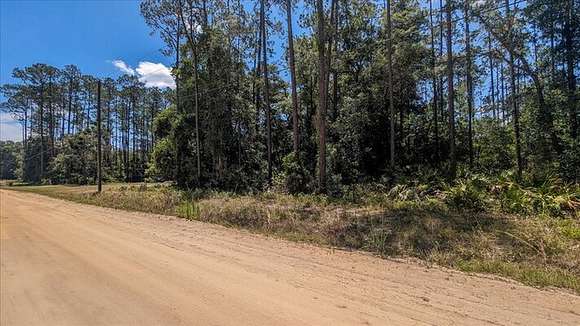 Florida Off-Grid Land for Sale - 91 Properties - LandSearch