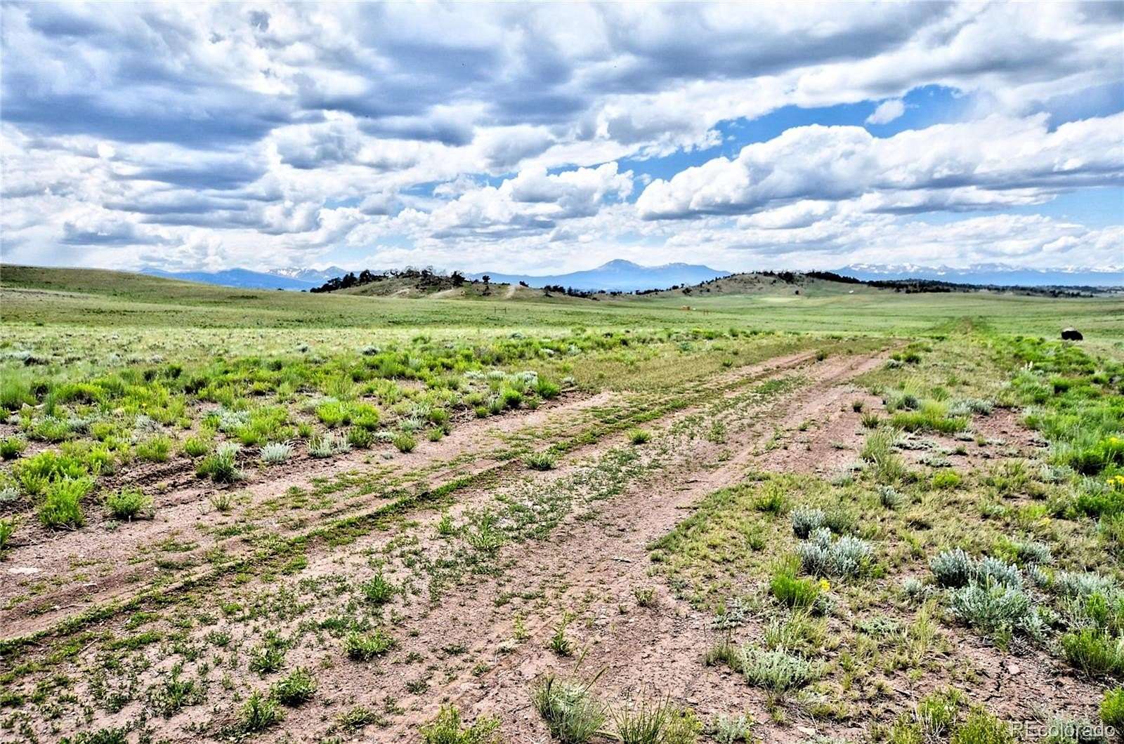 5 Acres of Residential Land for Sale in Hartsel, Colorado - LandSearch
