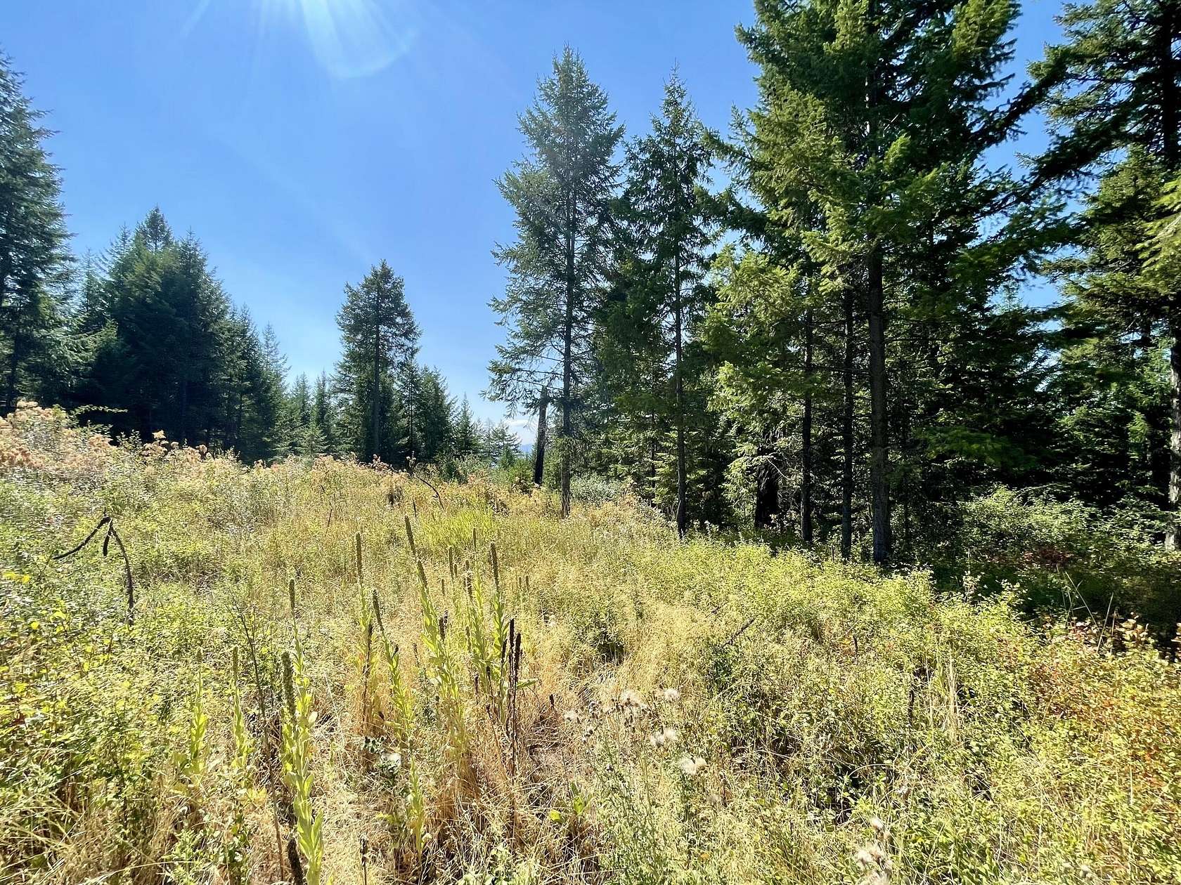 20 Acres of Recreational Land with Home for Sale in Rice, Washington ...