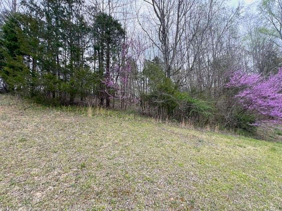 0.27 Acres of Residential Land for Sale in Austin, Kentucky - LandSearch