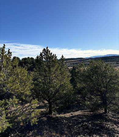 5.54 Acres of Land for Sale in Tierra Amarilla, New Mexico - LandSearch