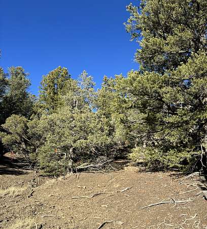 5.54 Acres of Land for Sale in Tierra Amarilla, New Mexico - LandSearch