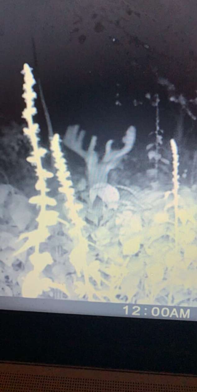 127 Acres of Recreational Land for Sale in Hamlet, Indiana - LandSearch