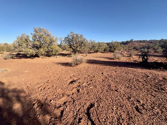 60 Acres of Recreational Land for Sale in Concho, Arizona - LandSearch