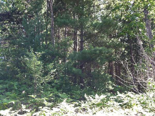 3.22 Acres of Residential Land for Sale in Spruce, Michigan - LandSearch