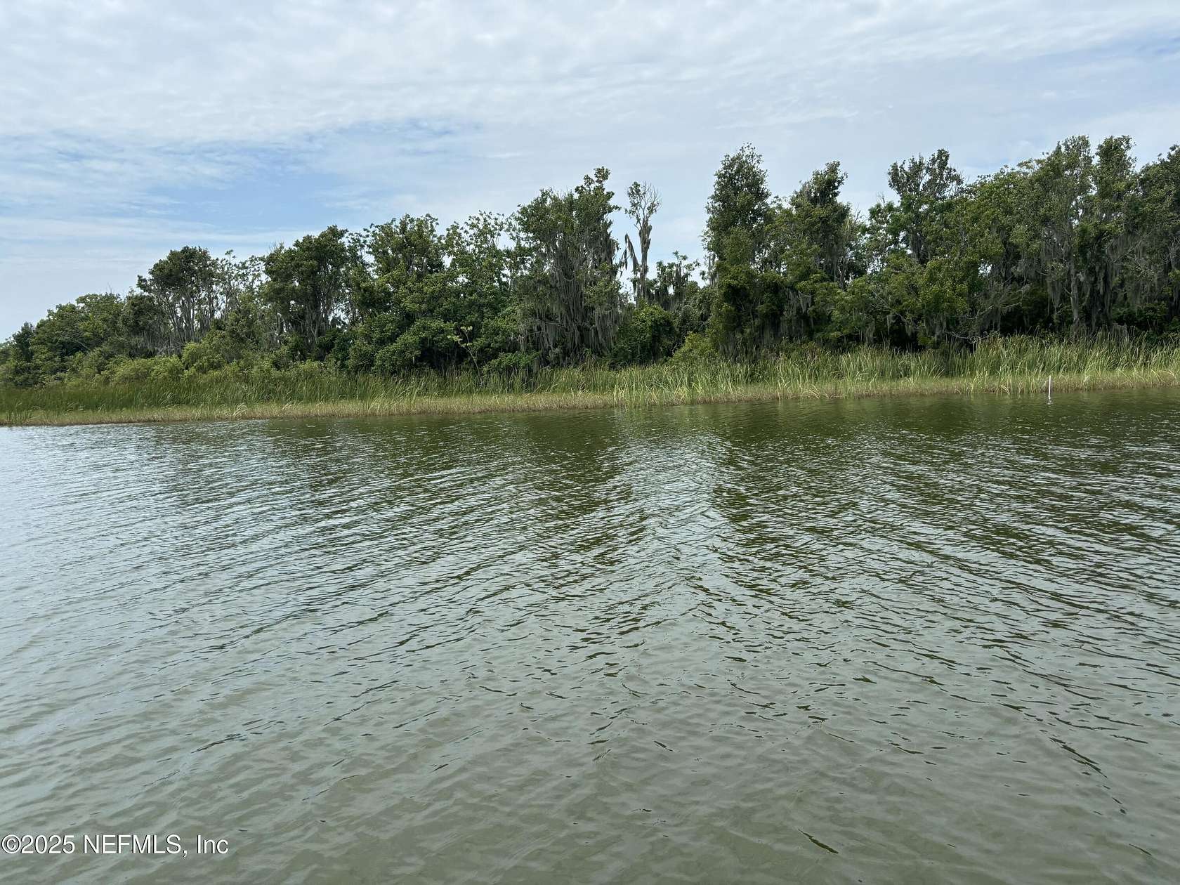 51 Acres of Land for Sale in Lady Lake, Florida - LandSearch