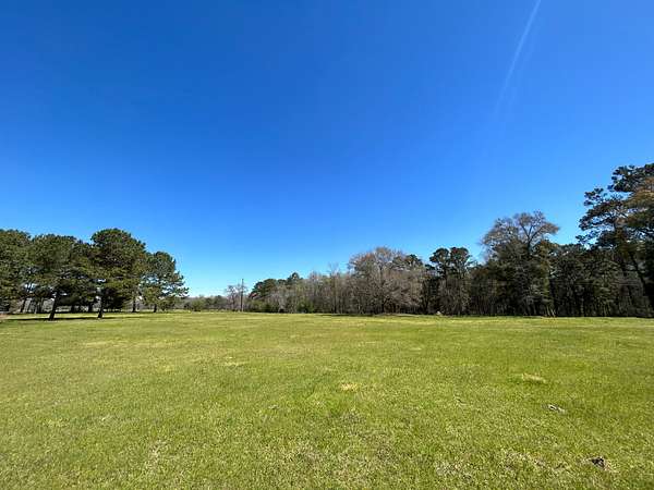 133 Acres of Agricultural Land for Sale in Newton, Alabama - LandSearch