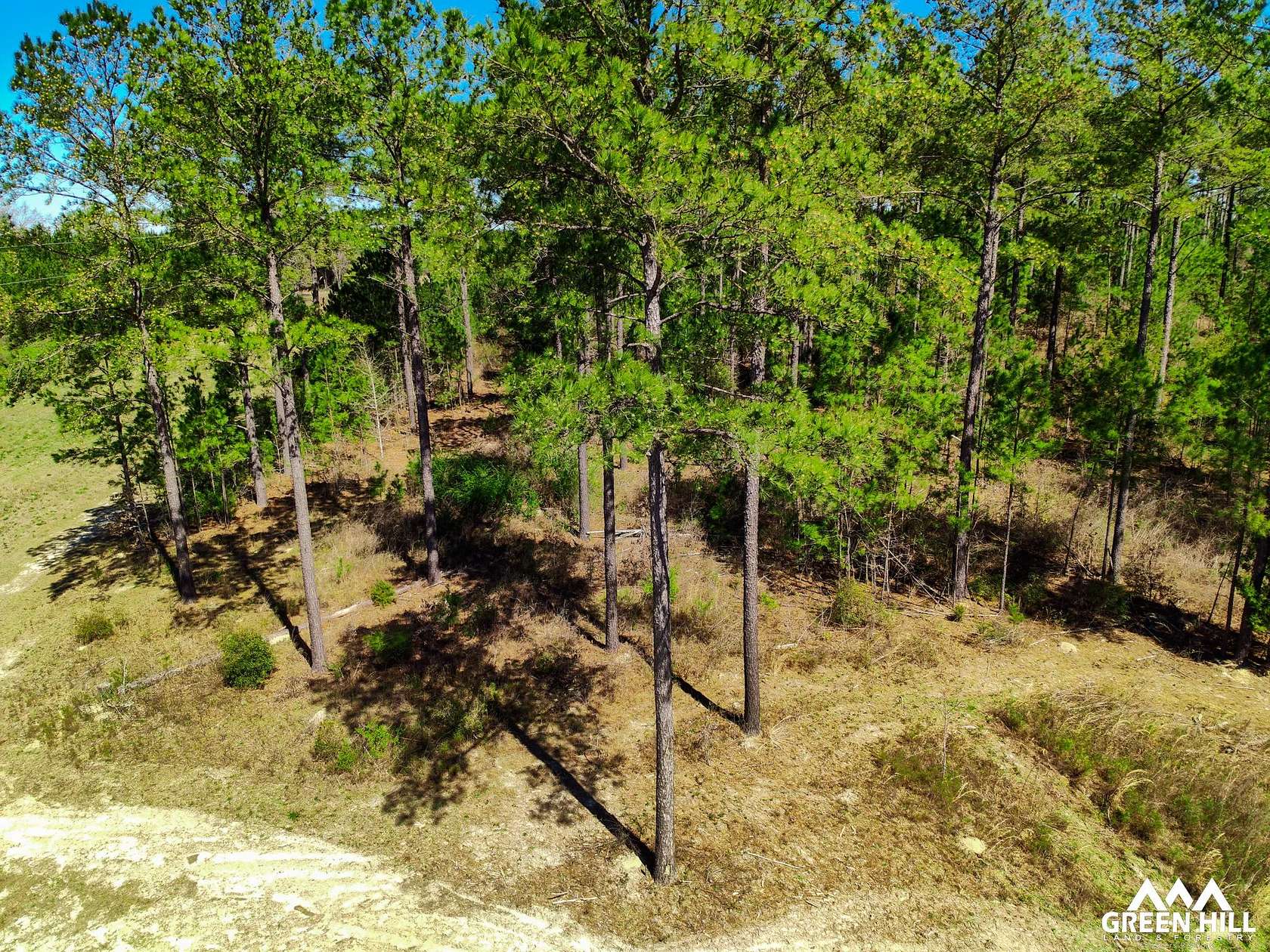 90 Acres of Land for Sale in Rupert, Georgia - LandSearch