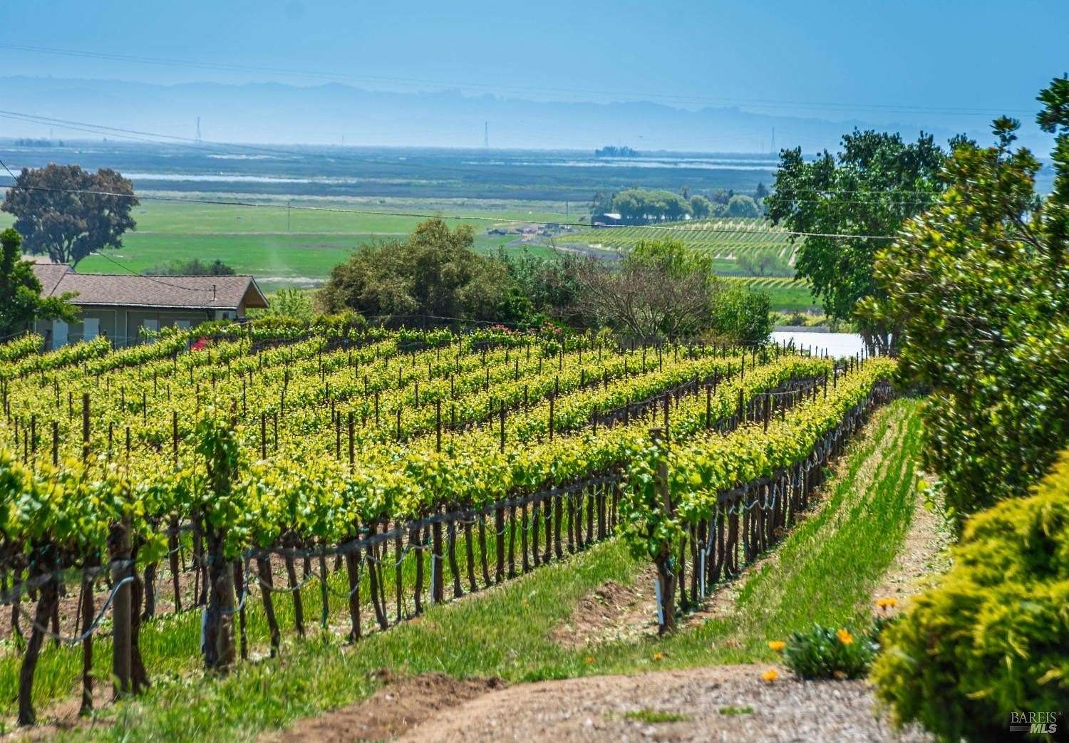 10 Acres of Land with Home for Sale in Napa, California - LandSearch