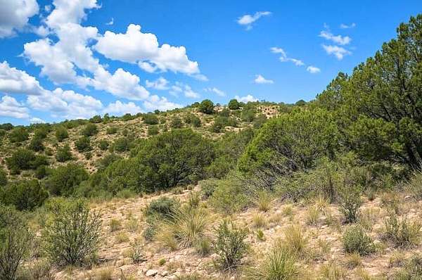 2 Acres of Residential Land for Sale in Timberon, New Mexico - LandSearch