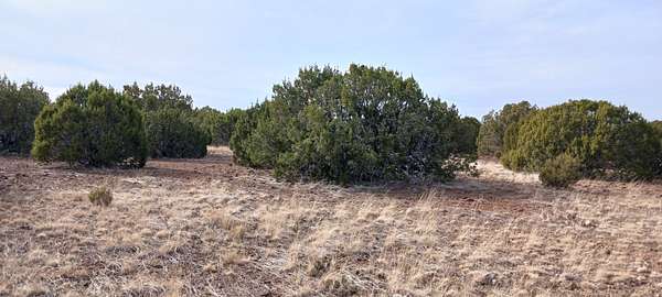 Arizona Farm Land for Sale - 1,257 Properties - LandSearch