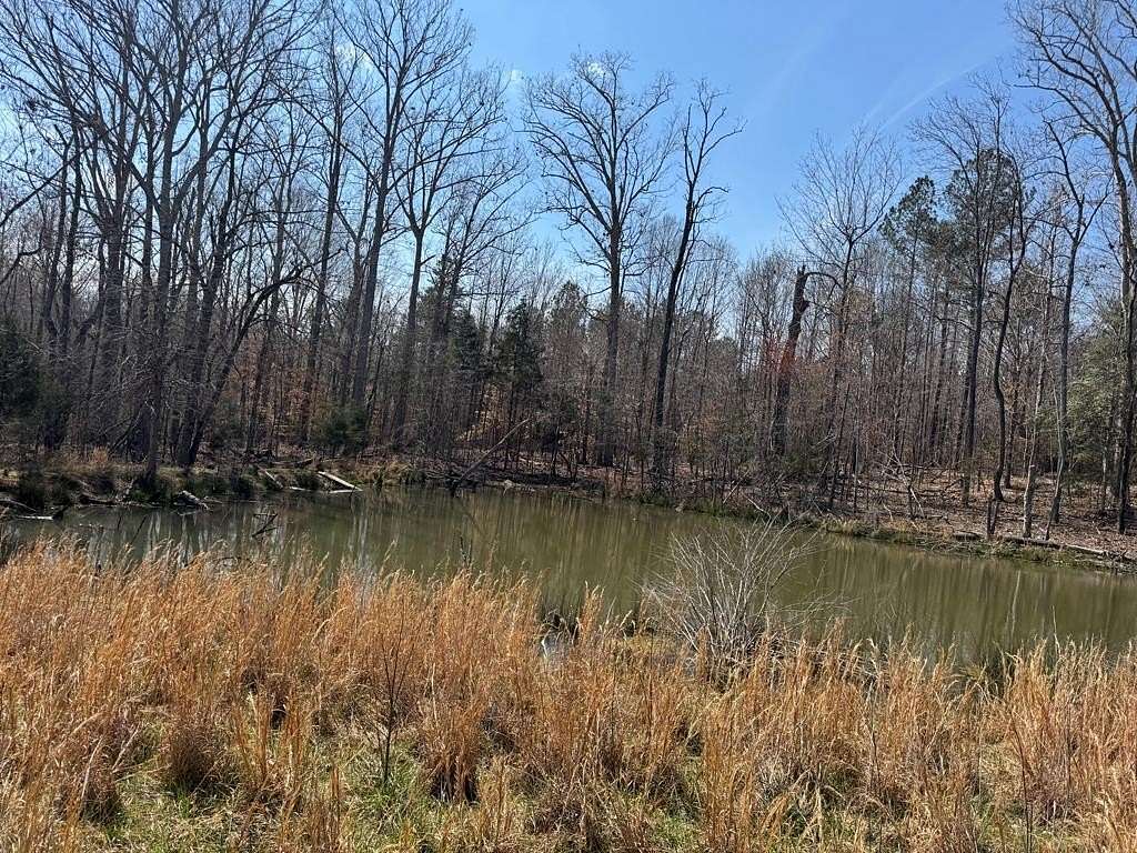 152 Acres of Land for Sale in Donalds, South Carolina - LandSearch