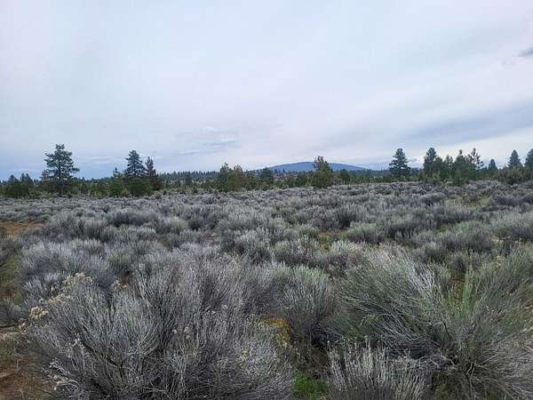 20 Acres of Land for Sale in Macdoel, California - LandSearch