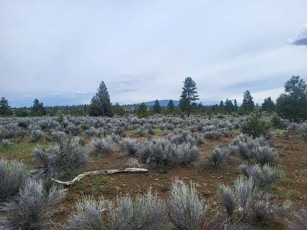 20 Acres of Land for Sale in Macdoel, California - LandSearch