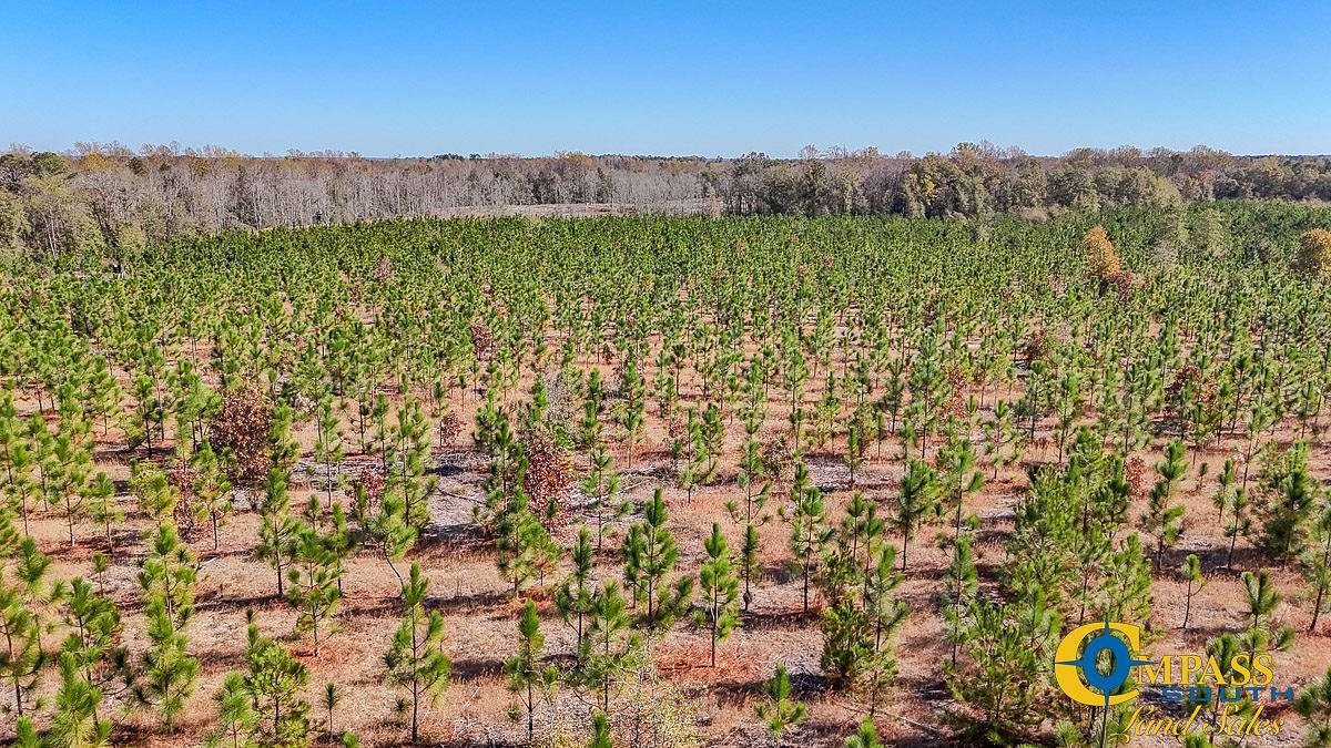 13 Acres of Commercial Land for Sale in Jefferson, South Carolina ...