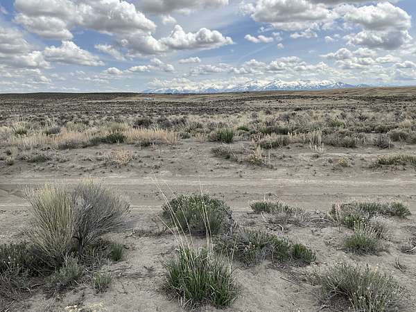 Nevada Land for Sale - 3,735 Properties - LandSearch
