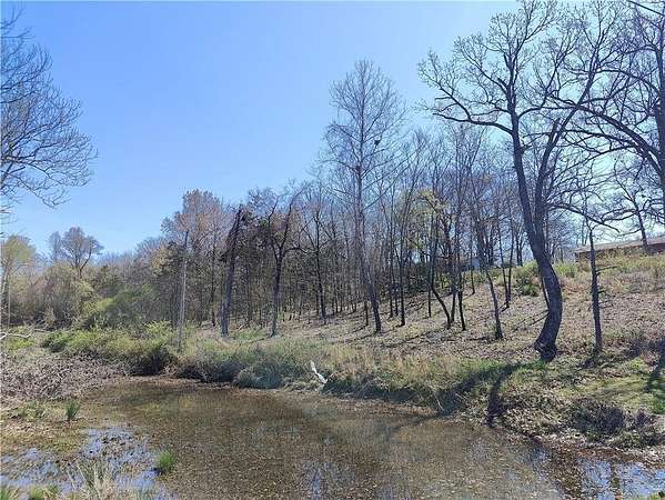 0.35 Acres of Land for Sale in Hackett, Arkansas - LandSearch