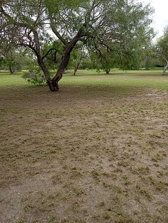 Residential Land for Sale in Riviera, Texas - LandSearch