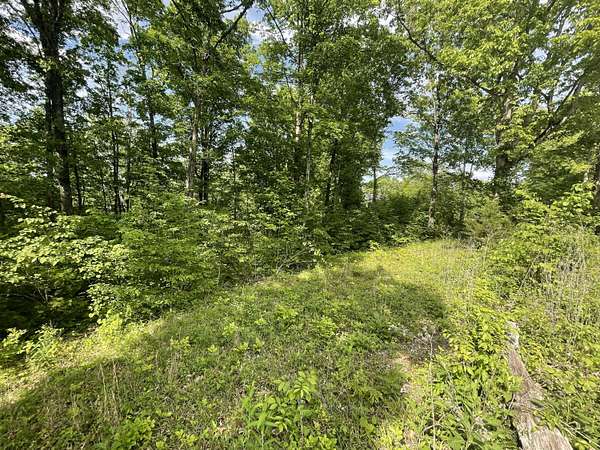 0.64 Acres of Land for Sale in Monticello, Kentucky - LandSearch