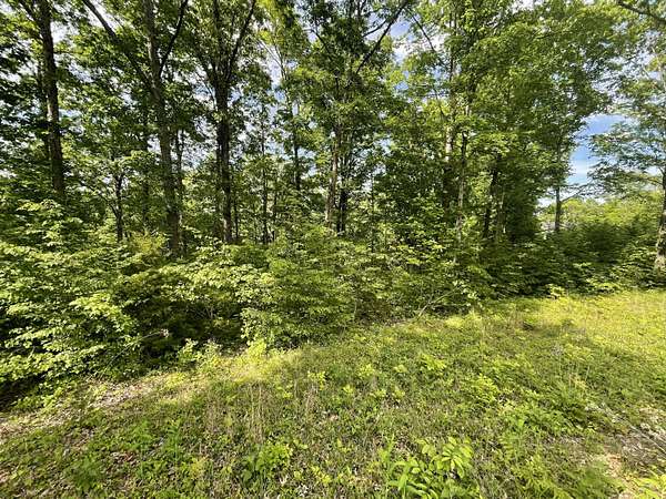 0.64 Acres of Land for Sale in Monticello, Kentucky - LandSearch