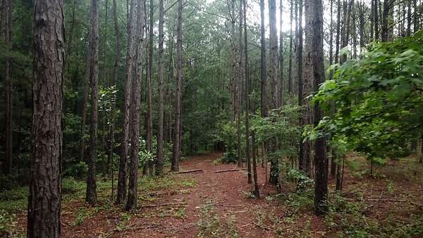 18.5 Acres of Recreational Land for Sale in Lizella, Georgia - LandSearch