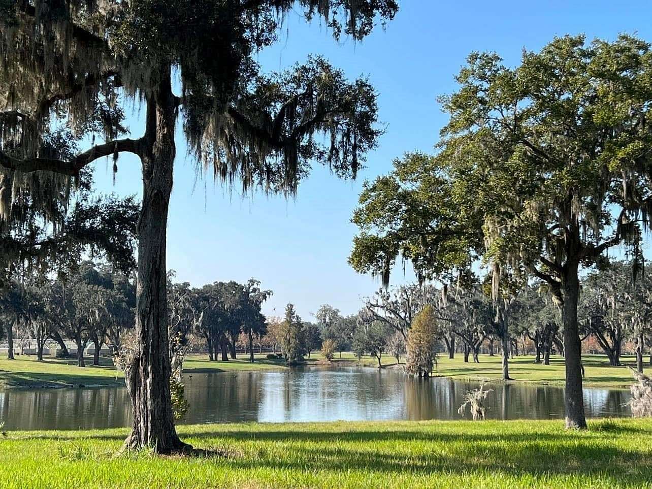 28.6 Acres of Recreational Land & Farm for Sale in Summerfield, Florida ...