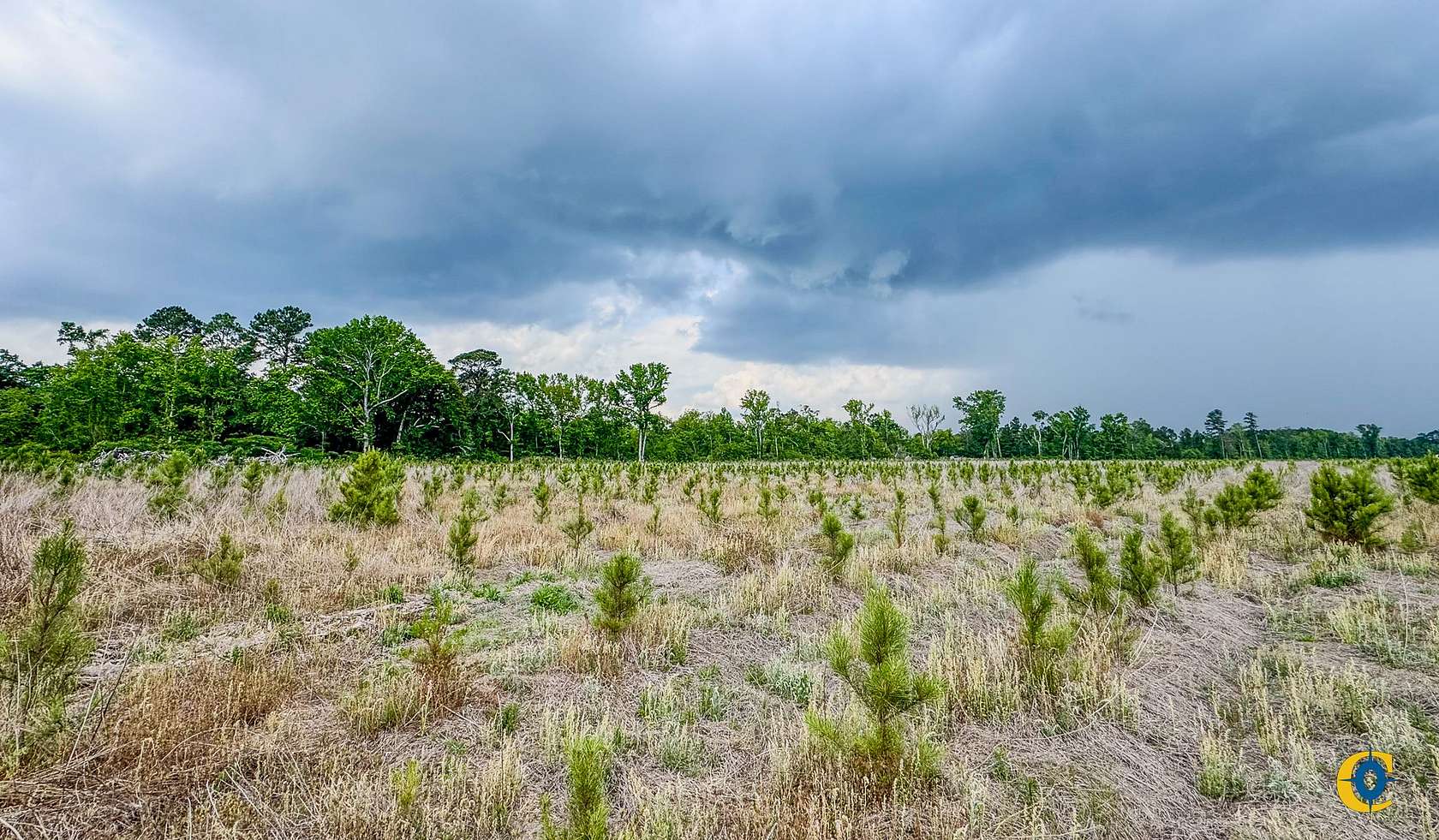 13 Acres of Land for Sale in Statesboro, Georgia - LandSearch