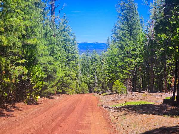 California Camping Land for Sale - 166 Properties - LandSearch