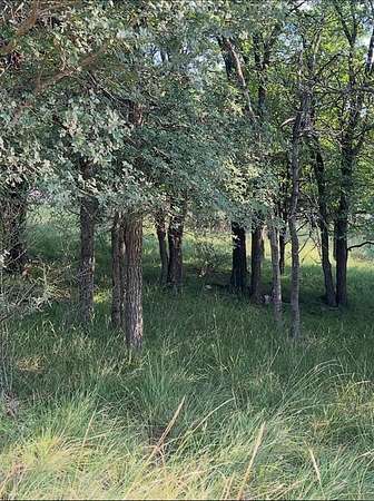 0.07 Acres of Land for Sale in May, Texas - LandSearch