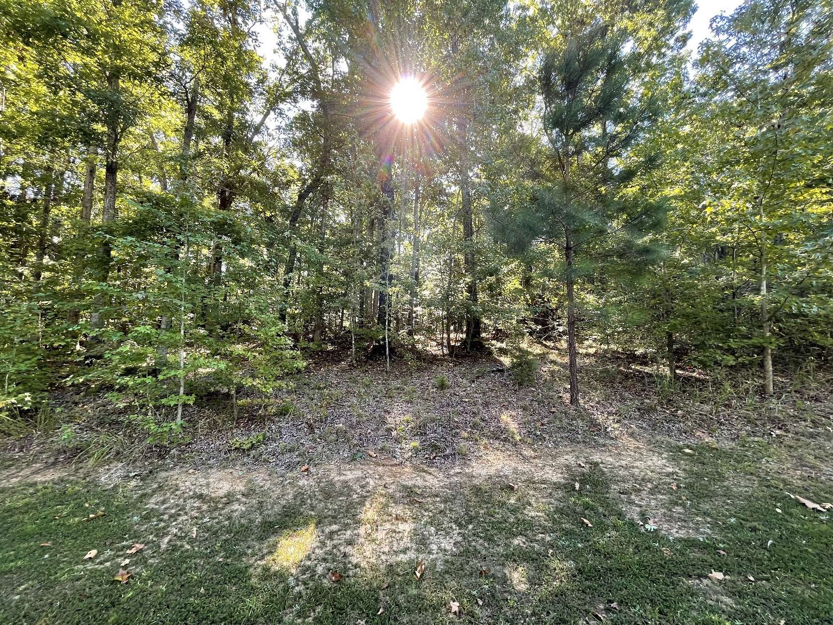 2.4 Acres of Residential Land for Sale in Cedar Grove, Tennessee ...