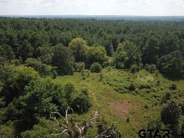 16.3 Acres of Recreational & Residential Land for Sale in Rusk, Texas ...