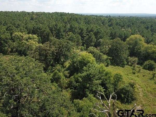 16.3 Acres of Recreational & Residential Land for Sale in Rusk, Texas ...
