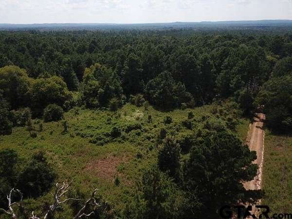 16.3 Acres of Recreational & Residential Land for Sale in Rusk, Texas ...