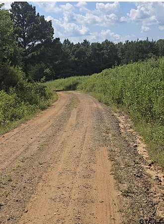 16.3 Acres of Recreational & Residential Land for Sale in Rusk, Texas ...