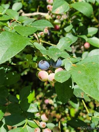 0.93 Acres of Land for Sale in Providence Forge, Virginia - LandSearch