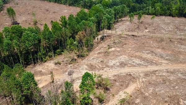 Alabama Land for Sale - 11,160 Properties - Page 5 - LandSearch