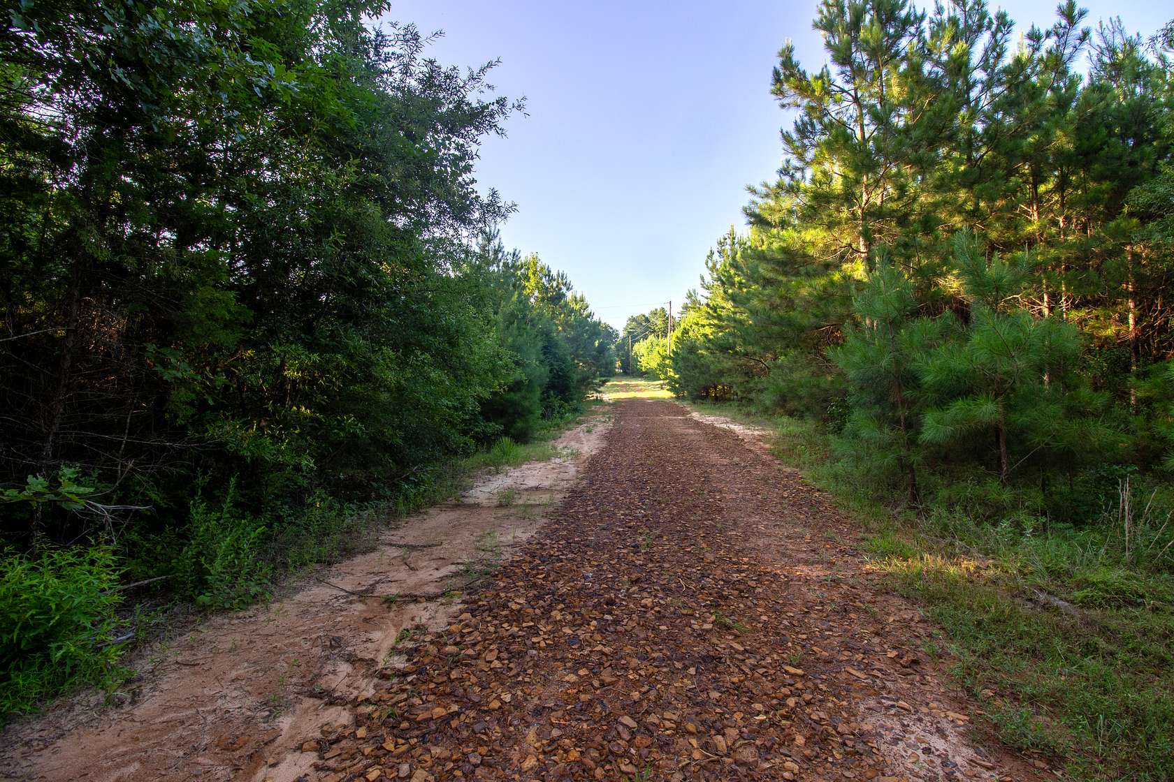 245 Acres of Land for Sale in Atlanta, Texas - LandSearch