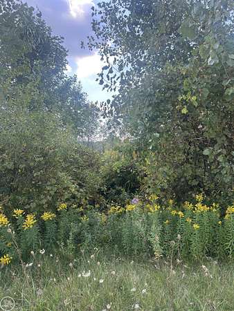 5 Acres of Residential Land for Sale in Allenton, Michigan - LandSearch