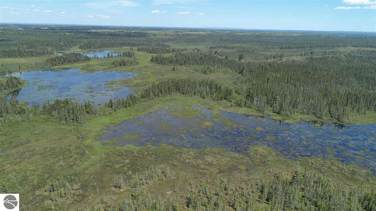 320 Acres of Land for Sale in Rudyard, Michigan - LandSearch