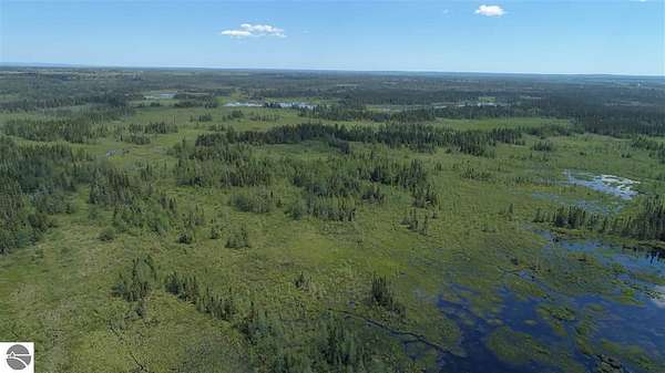 320 Acres of Land for Sale in Rudyard, Michigan - LandSearch