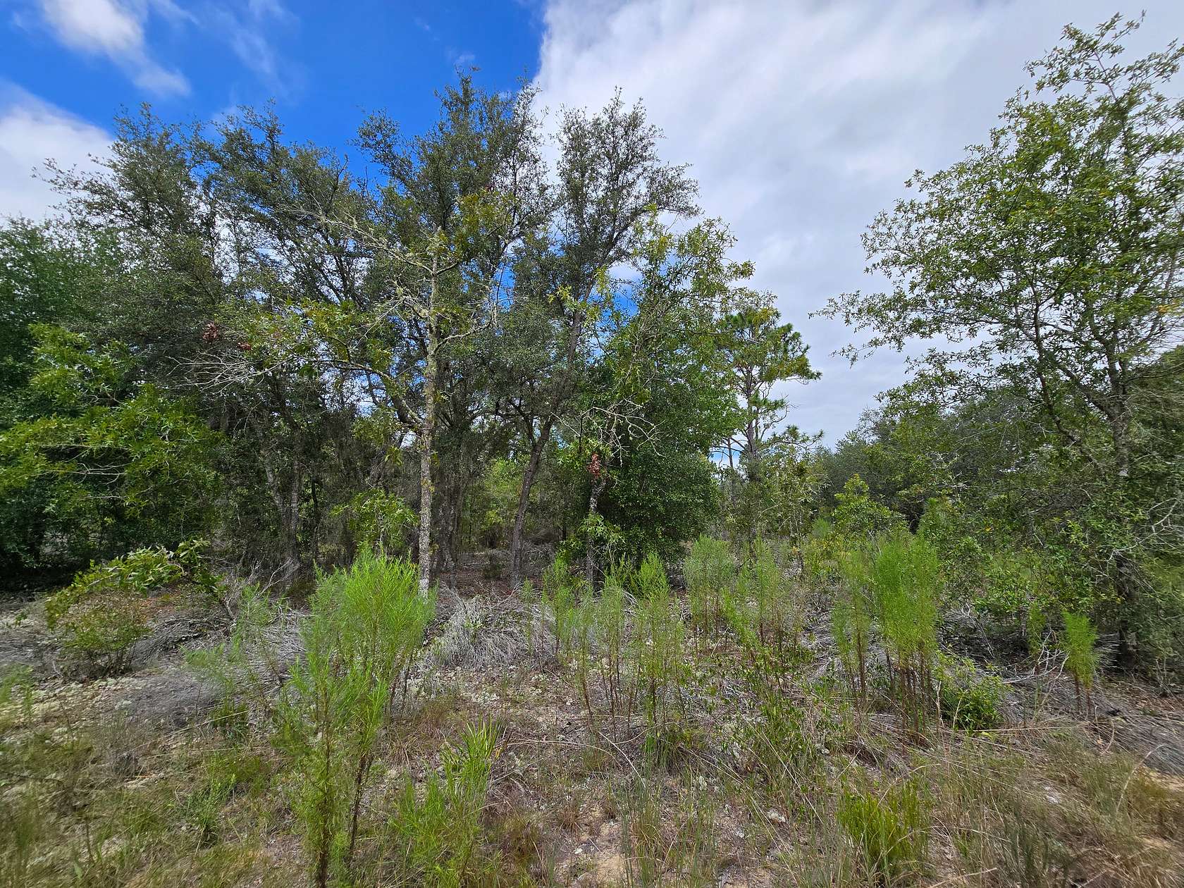 0.21 Acres of Residential Land for Sale in Wimauma, Florida - LandSearch