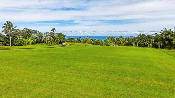 20.3 Acres of Agricultural Land for Sale in Honomu, Hawaii - LandSearch