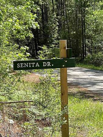 0.22 Acres of Residential Land for Sale in Brookeland, Texas - LandSearch