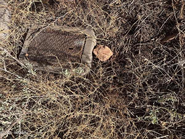 0.54 Acres of Residential Land for Sale in Snowflake, Arizona - LandSearch