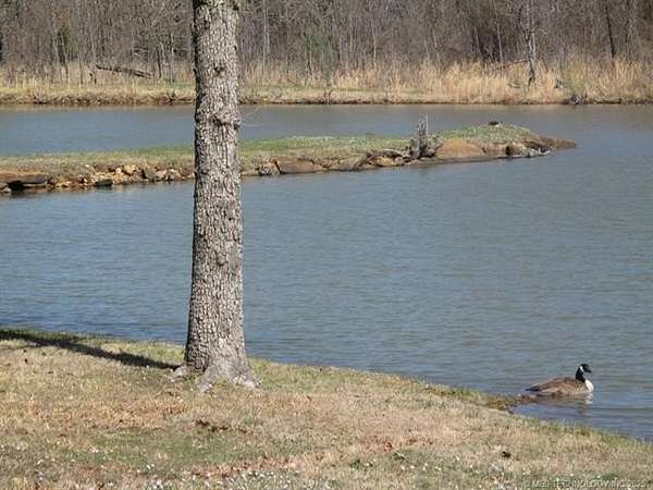 0.65 Acres of Residential Land for Sale in Cookson, Oklahoma - LandSearch