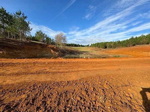 73 Acres of Land for Sale in Ramer, Alabama - LandSearch